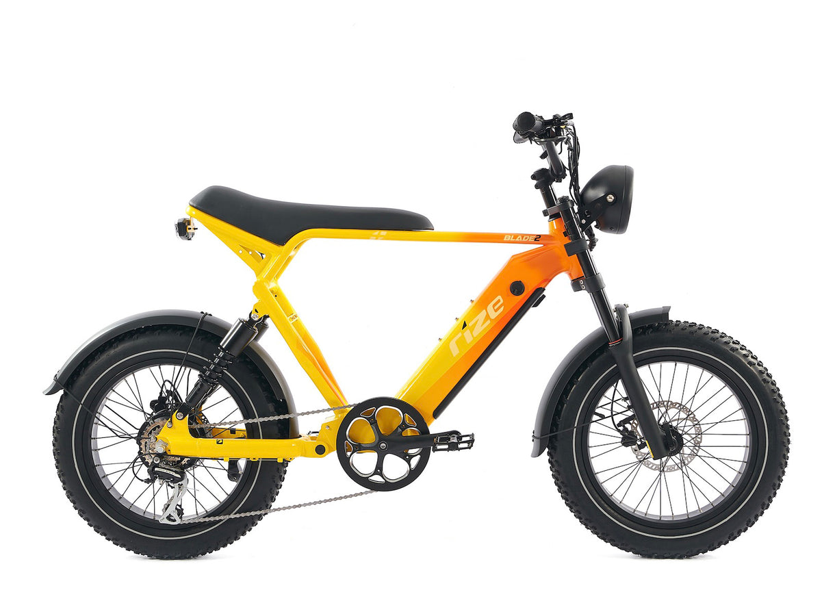 Vintage-Inspired Electric Bike: Elegance Meets High Performance – Rize ...