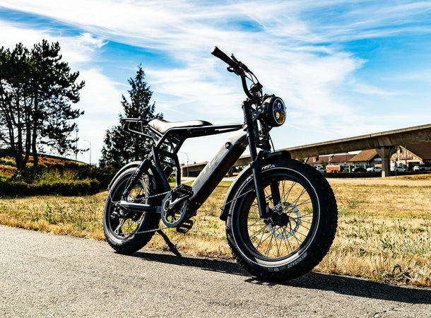 Vintage-Inspired Electric Bike: Elegance Meets High Performance – Rize ...