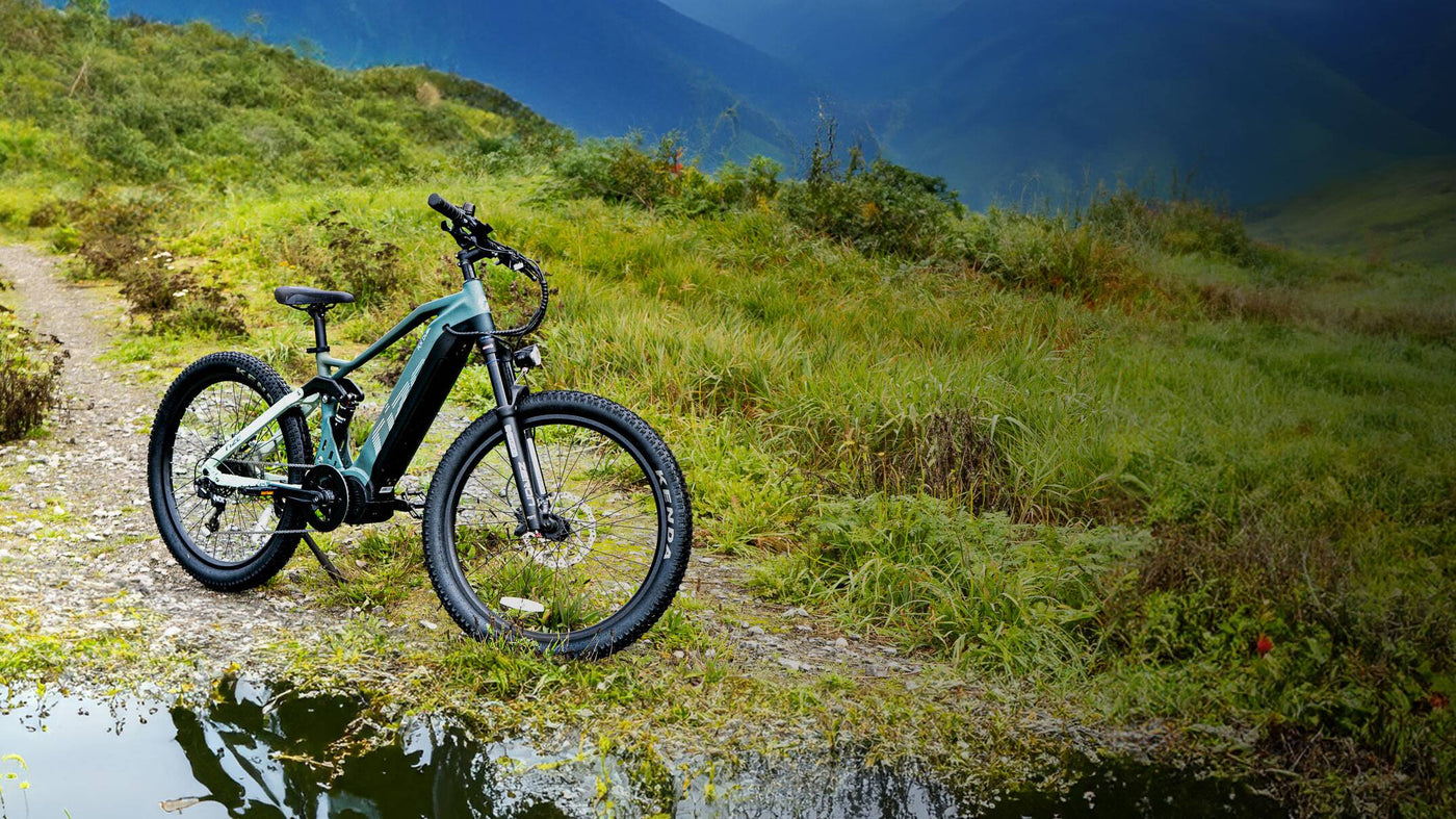 Rize Bikes Canada | Dual Battery Electric Bikes for Ultimate Adventure